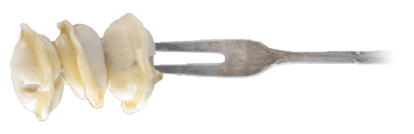 Sam's Pelmeni and Pierogi - Traditional Russian and Polish Dumplings.